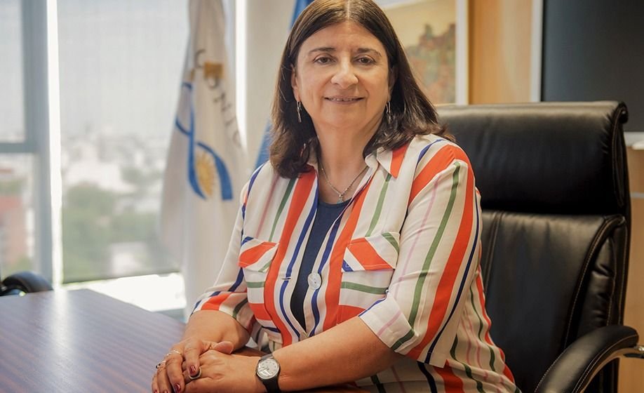 El Conicet no está en contra del desarrollo minero, dijo su presidenta ...